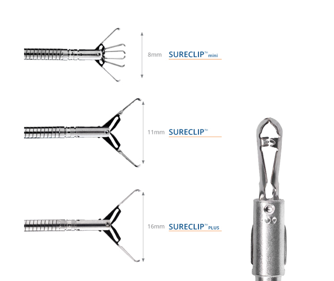 ENDOSCOPÍA | SOMHOS W